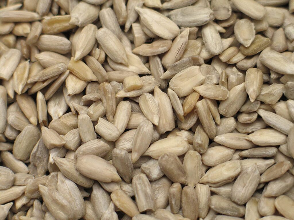 Why Do Baseball Players Eat Sunflower Seeds? Reasons